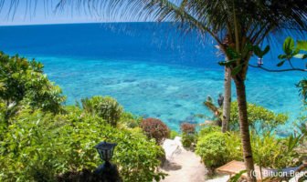 Bohol Hotels & Resorts in the Philippines - Bohol Guide